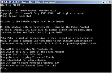 Bug In My X86 Emulator Code On Big Endian Platforms Need Help Tracking