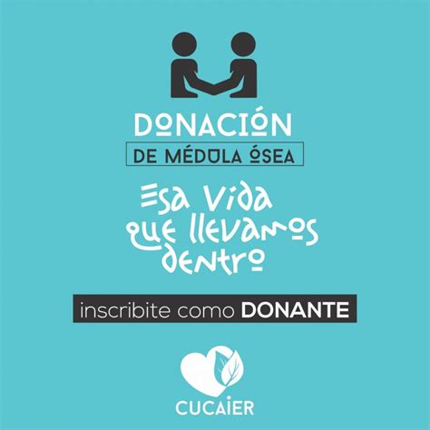Donar Médula Para Salvar Vidas