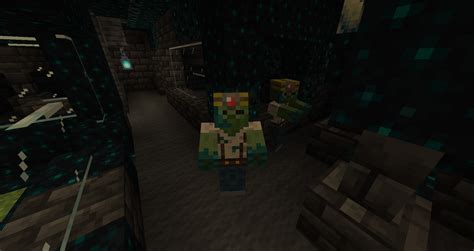 First Time Making an Optifine Resource Pack : r/Optifine