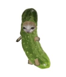 “cat Pickle” Tenor