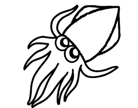 章鱼唯美简笔画 简笔画图片大全 普车都