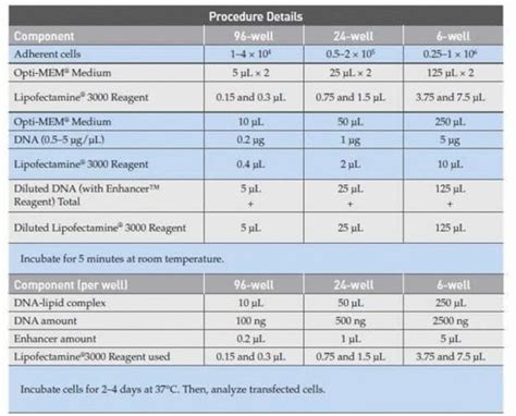 Lipofectamine™ 3000 Transfection Reagent