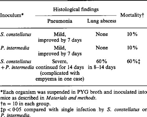 Streptococcus Constellatus Semantic Scholar