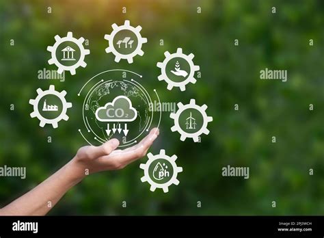 Co2 Carbon Dioxide Emission Reduction Concept Sustainable Environmental Development Stock