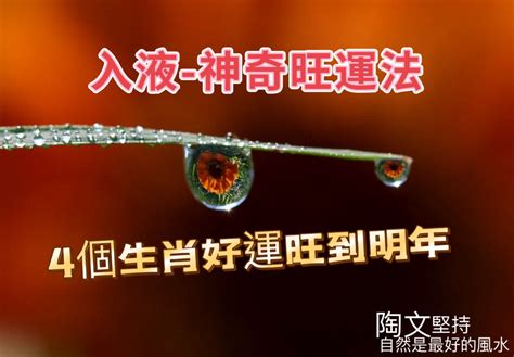 好運旺到明年的風水策略和4大生肖 傳統而神秘「入液」開運法