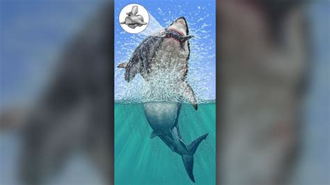 Terrifying Megalodon Attack On Whale Revealed In 15 Million Year Old