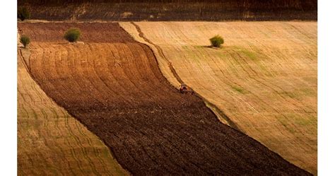 СЪВЕТ подготовката на почвата за сеитба да се извърши през октомври Български Фермер
