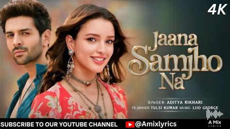 Bhool Bhulaiyaa Jaana Samjho Na Song Kartik Aaryan Triptii Aditya R Tulsi K Lijo Dj