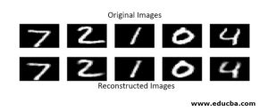 Autoencoders Main Components And Architecture Of Autoencoder