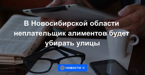 В Новосибирской области неплательщик алиментов будет убирать улицы Новости