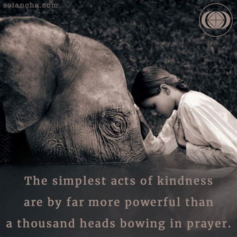 Kindness Quotes 1000 Motivational And Inspirational Q
