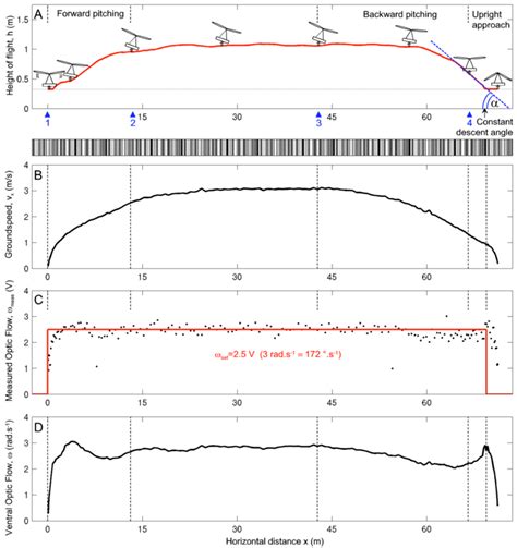Flight Variables Monitored During A 70 Meter Flight Of The