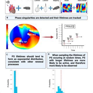 A The Experimentally Acquired Data Clinically Acquired Data And