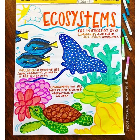 Best 12 Introduction To Ecosystem Anchor Chart For 5th 8th Grade Artofit