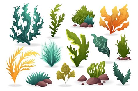 Premium Vector Algae Set A Set Of Flat Cartoonstyle Designs Featuring