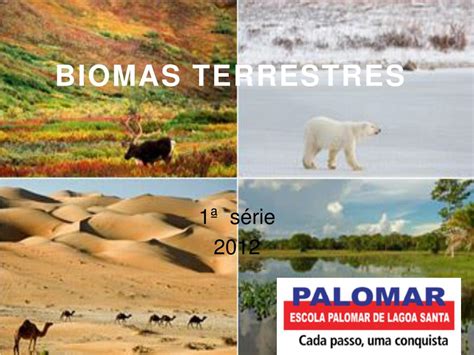 Los Biomas Biomas Terrestres Images And Photos Finder