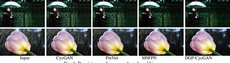 Unsupervised Restoration Of Weather Affected Images Using Deep Gaussian