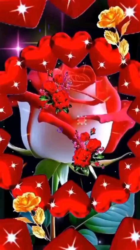 Пин от пользователя Копилка гиф на доске Ваши пины Плавающие цветы Красные розы Красивые розы