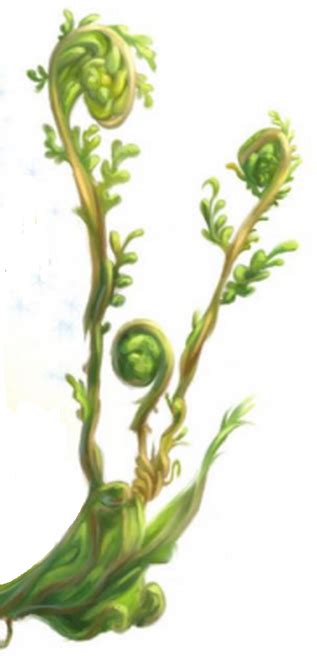 Possum Fern Disney Fairies Wiki Fandom Powered By Wikia