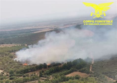 Oggi Incendi In Sardegna Tre Spenti Con Gli Elicotteri