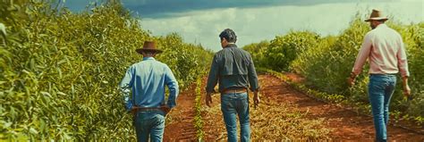 Contato AG Croppers