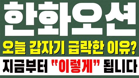 한화오션 주가전망 오늘 갑자기 급락한 이유 지금부터 이렇게 됩니다 Youtube