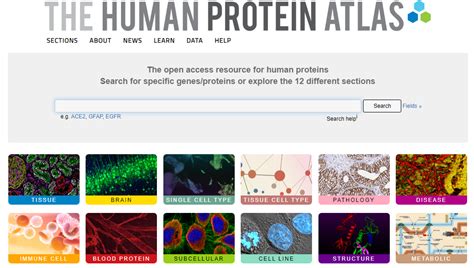6種細胞特徵數據庫 Cell Type Annotation Database 查詢細胞類型的好幫手 億問 Millionquesn