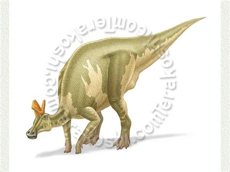 ランベオサウルス 2