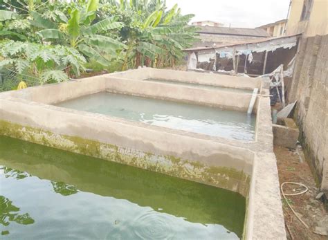 How To Build A Farm Pond Builders Villa