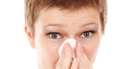 Allergia Acari Sintomi E Rimedi Naturali Greenstyle