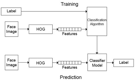 9 training and prediction phases of classification download