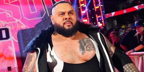 WWE Superstar Uses Fan As A Weapon Vs Braun Strowman On Raw