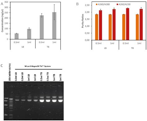Automated Extraction Of Plasmid Dna