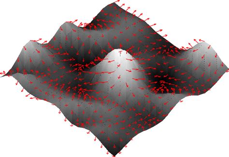 Illustration Of The Normal Vectors Of A Laser Speckle Pattern Intensity Download Scientific
