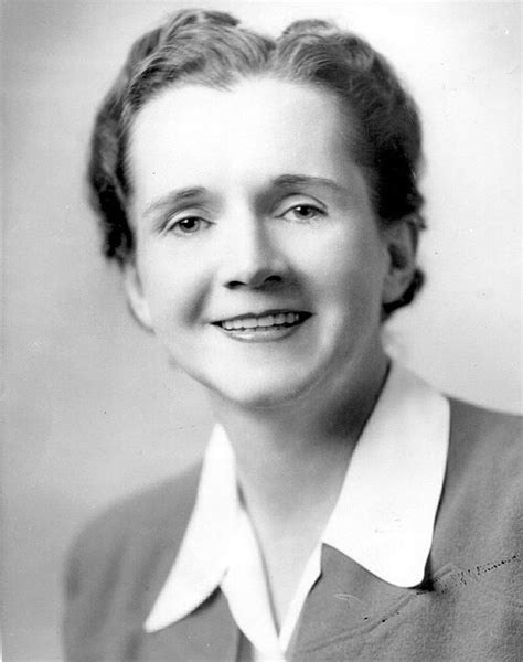 Rachel Carson Award Wikipedia
