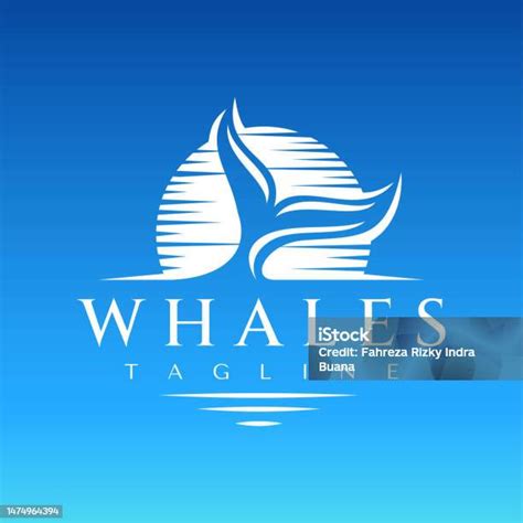 일몰 로고 디자인에 럭셔리 예시 고래 지느러미 우아한 라인 아트 범고래 로고 고래에 대한 스톡 벡터 아트 및 기타 이미지