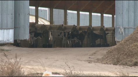 Two Men Sentenced To 2 Years Probation For Animal Cruelty
