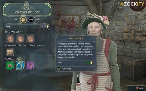 Hogwarts Legacy Professor Garlicks Assignment 1 Guide