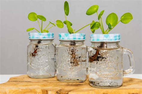 Decorate Your Home With Trendy Handmade Home Décor Items Homelane Blog