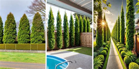 15 Beautiful Tree Fence Ideas To Boost Your Gardens Appeal 2025