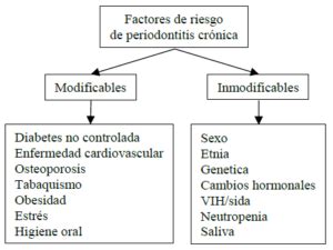 Factores De Riesgo Para La Salud Modificables Y No Modificables