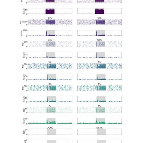 Spike Raster And Peristimulus Time Histogram Psth Comparison