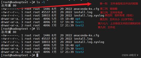 Linux Chmod Linux Bat Chmod Csdn