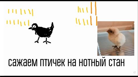 Сажаем птичек на нотный стан. Сольфеджио онлайн для малышей - YouTube