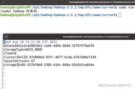 启动hadoop集群datanode消失启动hadoop功能都没了 Csdn博客