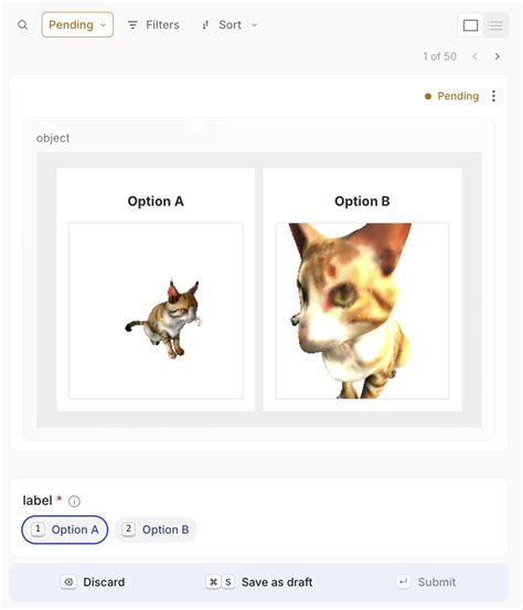 How To Optimize Your Data Labelling Project With Custom Interfaces