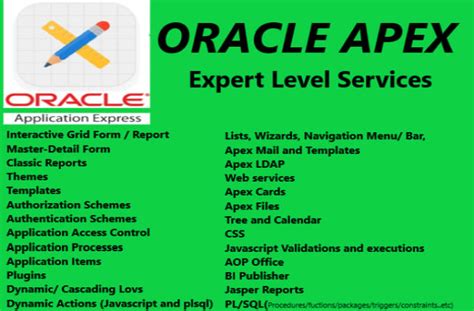 Do Expert Level Project In Oracle Apex With Database Design By