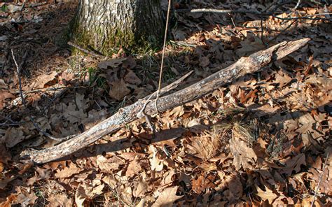 Stick On A String Crossbow Nation