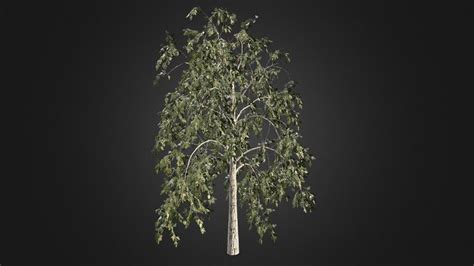 Houdini 3d Models Sketchfab