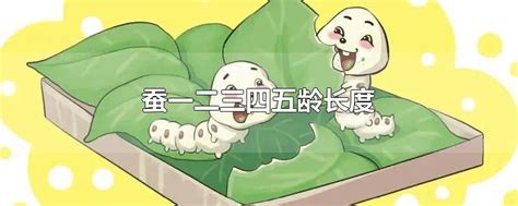 怎么分辨蚕龄各龄蚕需要吃多少桑叶 广西南宁天龙生物科技有限公司 天龙桑种桑苗